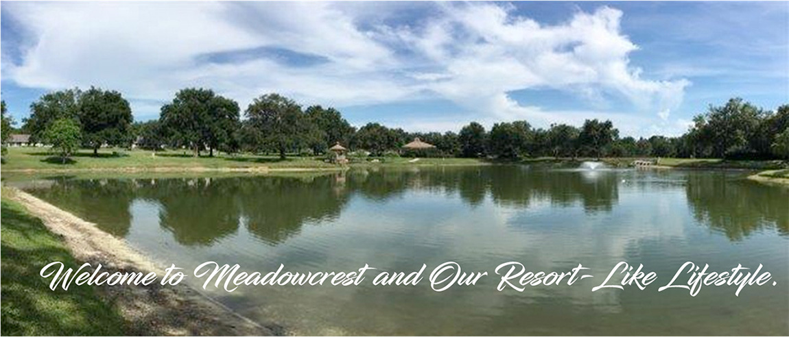 Homes & Villas for Sale in Meadowcrest, Crystal River Real Estate